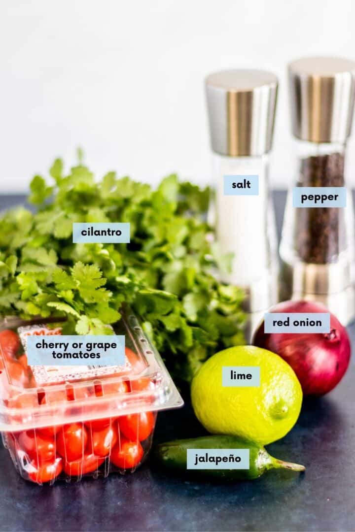 Fresh Cherry Tomato Salsa (No Cook Recipe) - Veggies Save The Day
